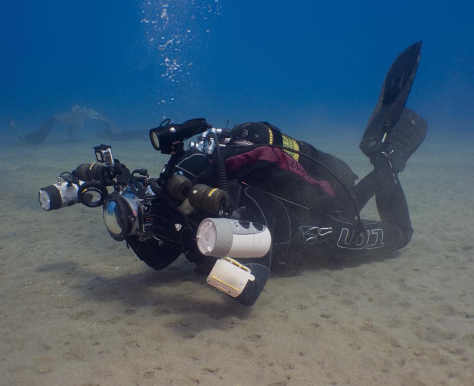 Photo Video Certification Eco Diving Center